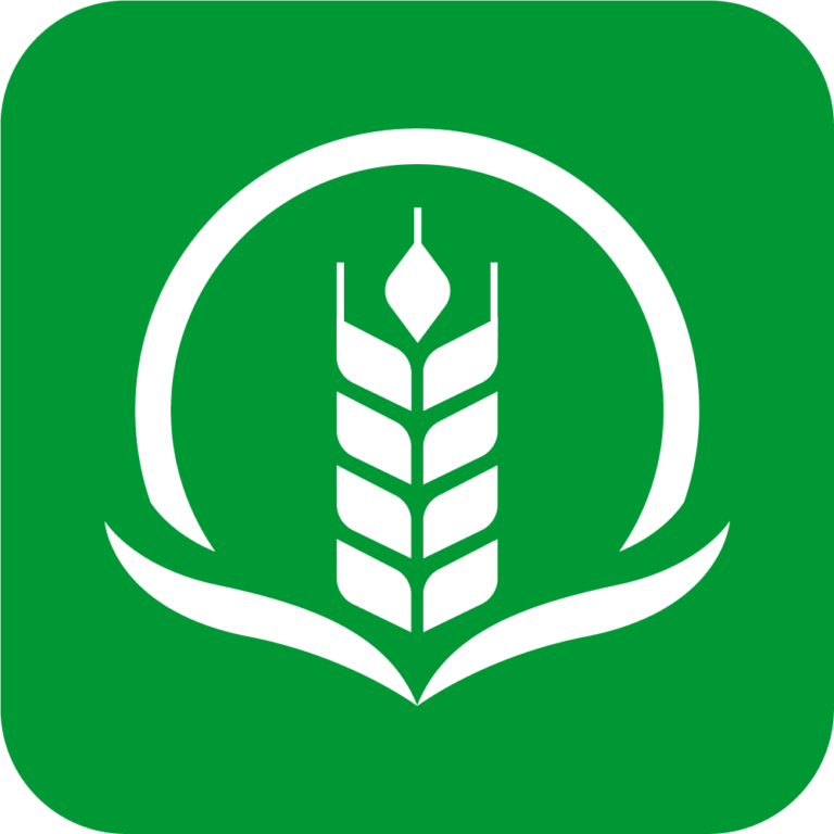 Famebro Creative Studio - Branding Agency