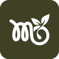 Famebro Creative Studio - Branding Agency